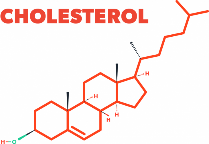 Comprendre le cholestérol - Actualités - Sante-dz